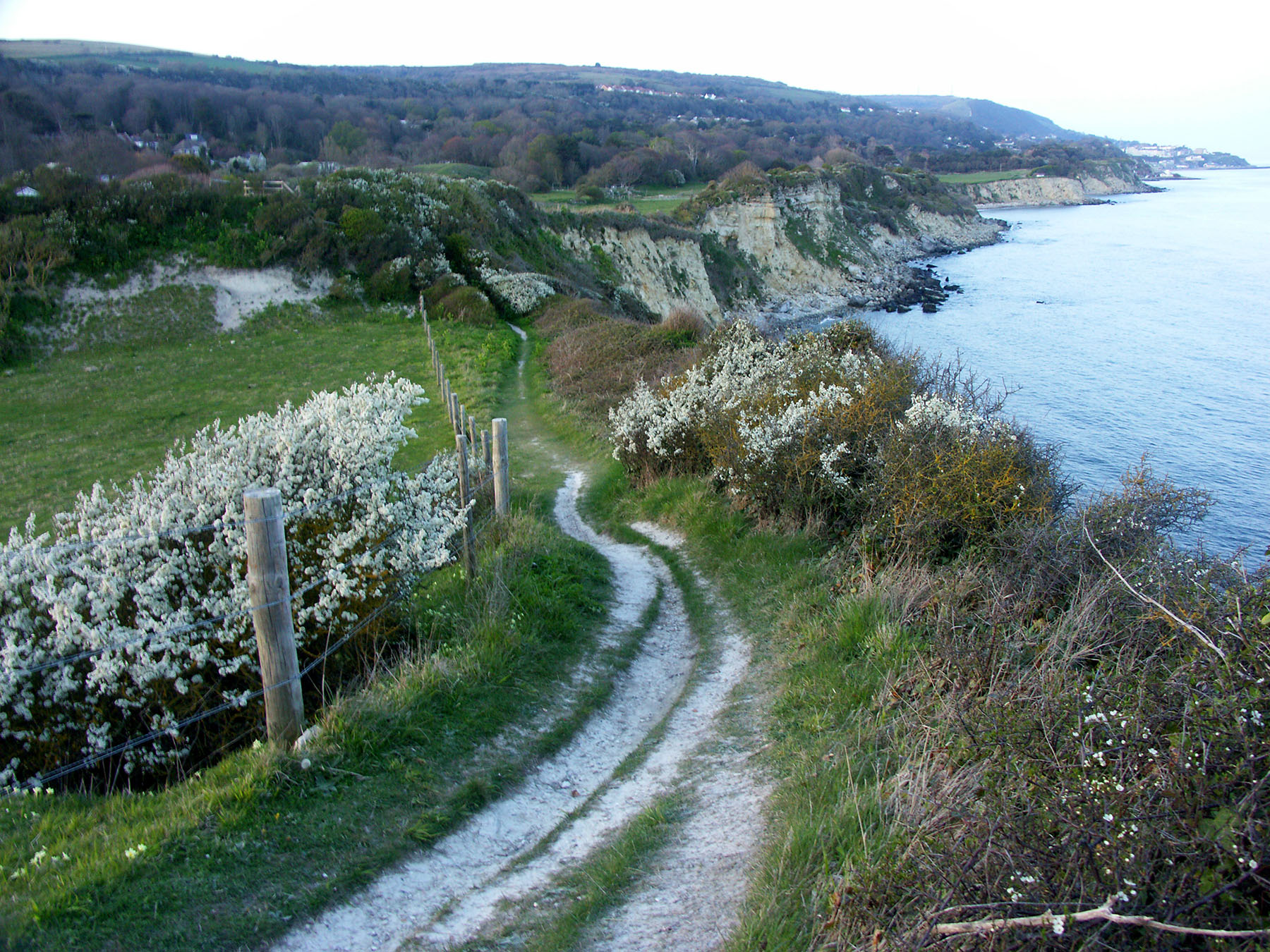 Ventnor Coastal Path – Ventnor Villa Breaks